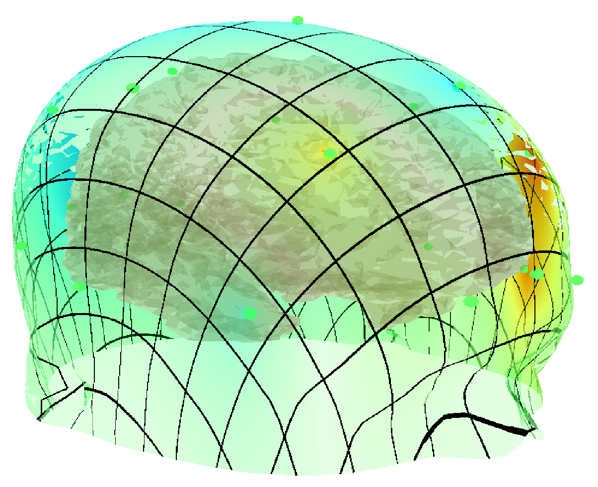 brainAvaterFrontRight - BrainMaster Technologies Inc.